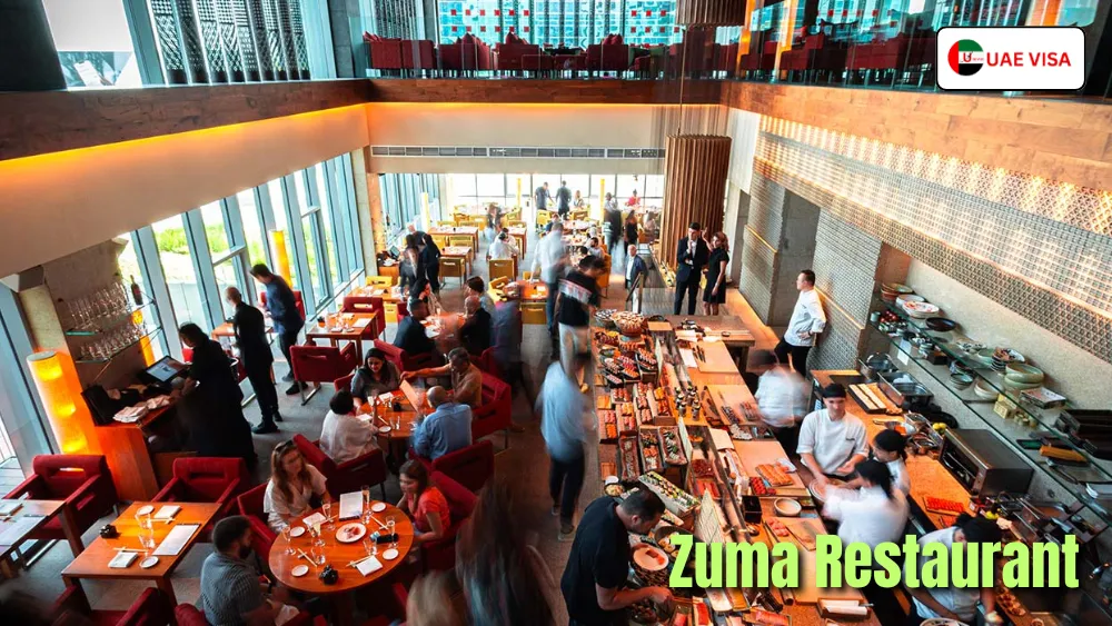 Complete Guide To 5 Best Business Lunch Restaurants in Dubai For 2024!